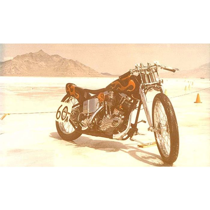 harley panhead frame